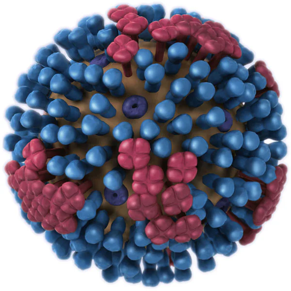 Influenza